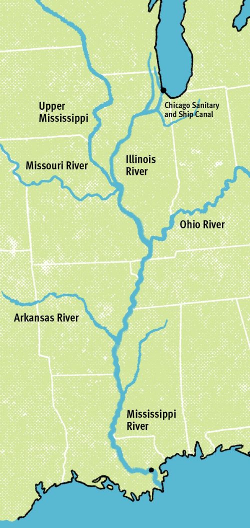 What to Do with the Chicago River? - Belt Magazine