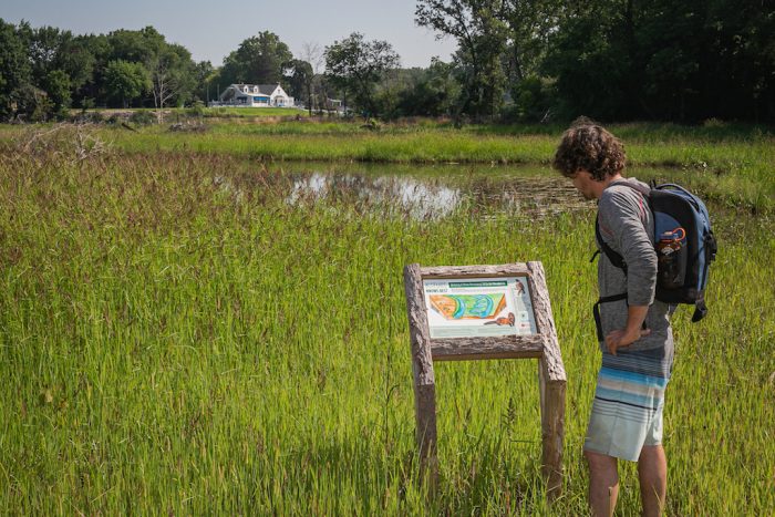The Death and Life of the Great Black Swamp - Belt Magazine