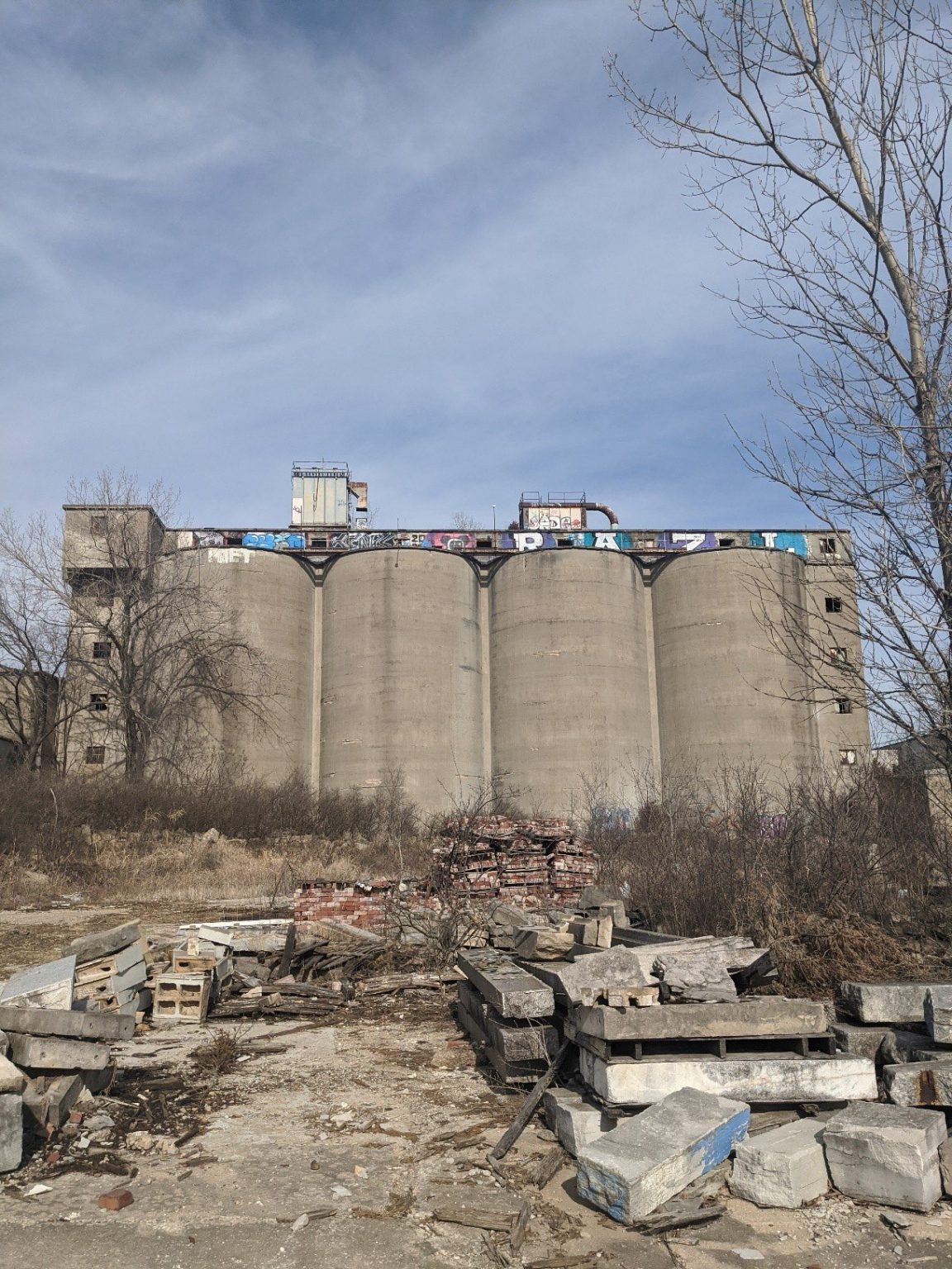 The Cracked Wonder of Cementland - Belt Magazine