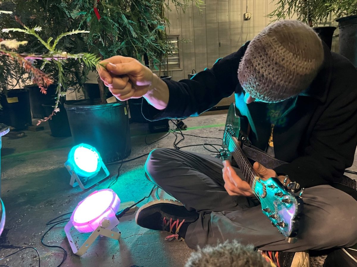 The Plant Musician - Belt Magazine