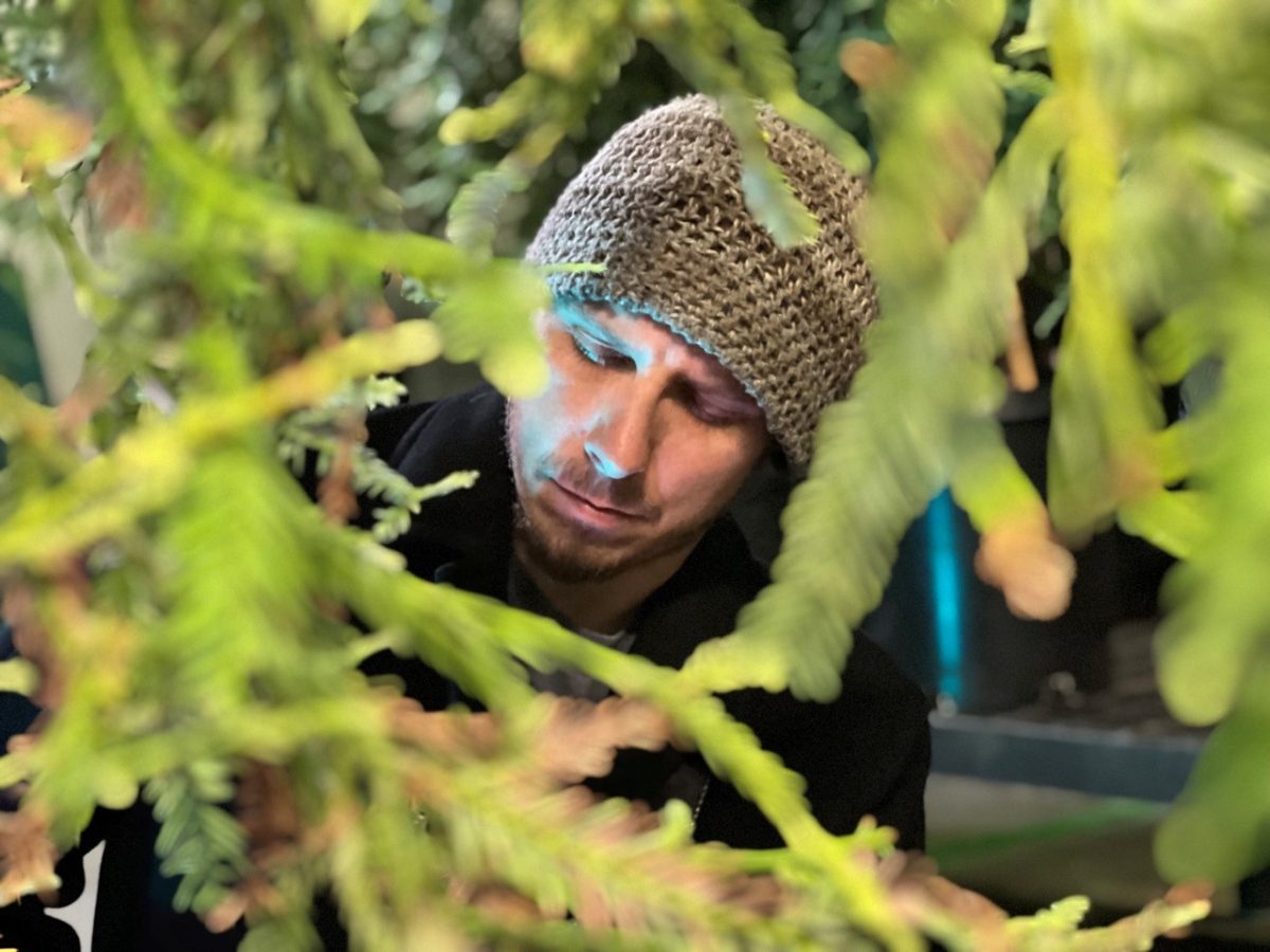 The Plant Musician - Belt Magazine